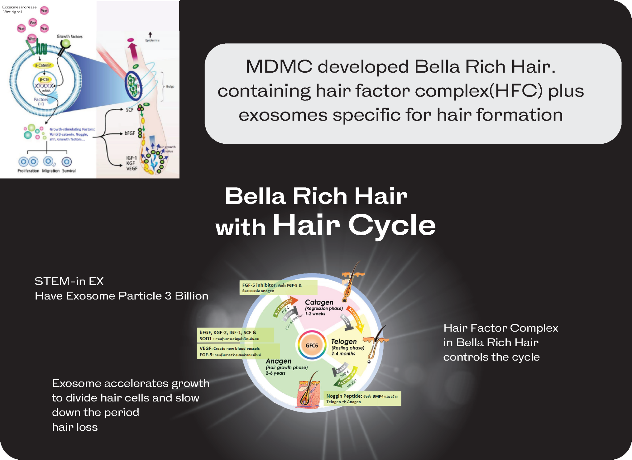 Bella Rich Hair – MDMC Co., Ltd.