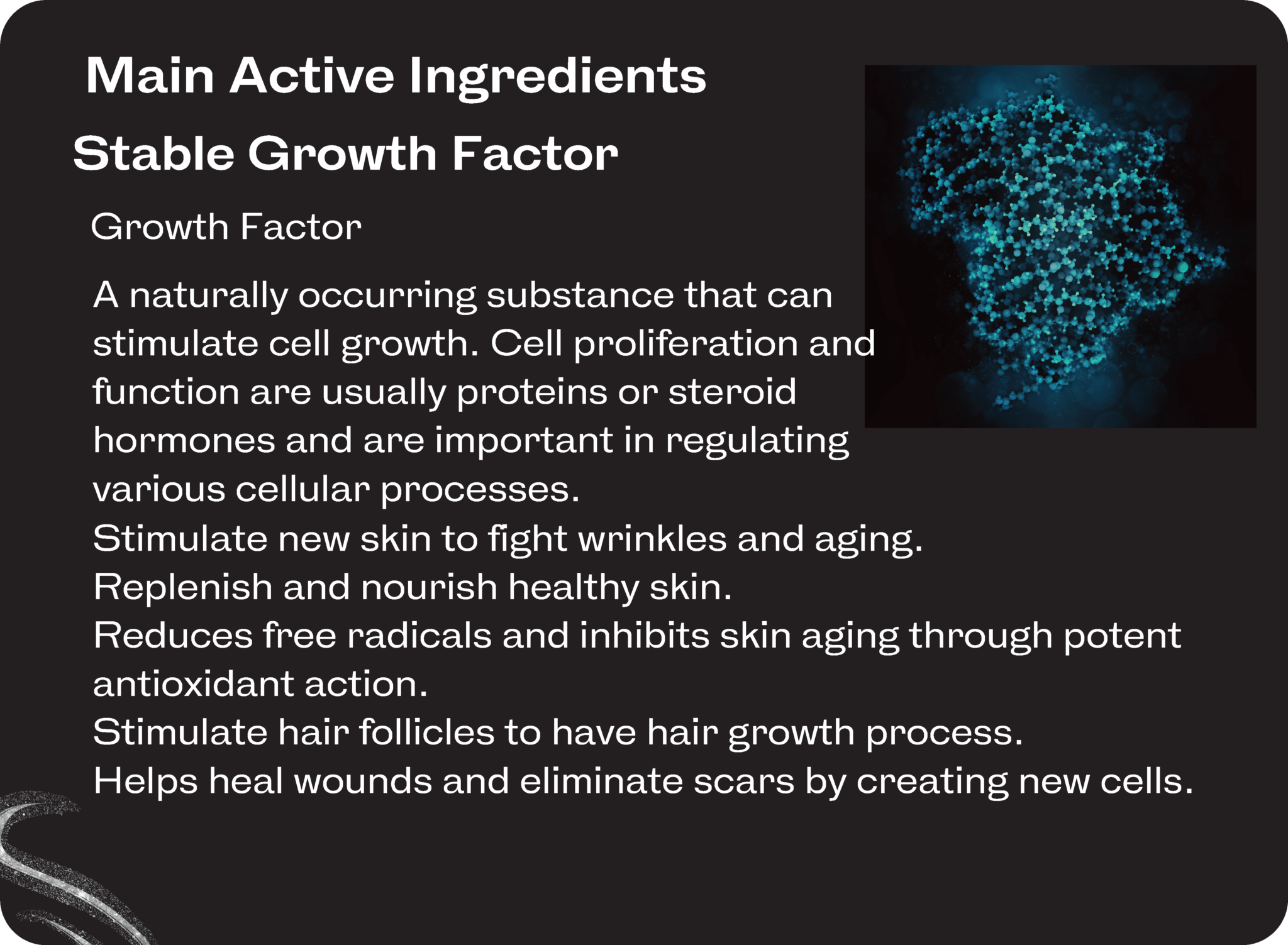 Bella Rich Hair – MDMC Co., Ltd.