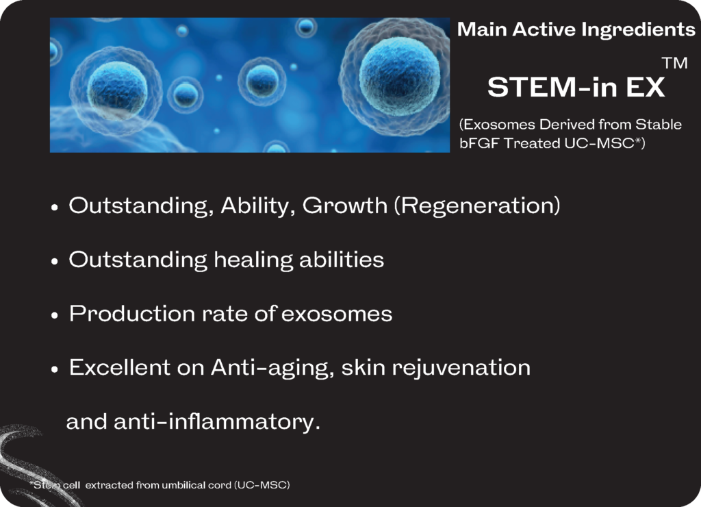 Bella Rich Hair – MDMC Co., Ltd.